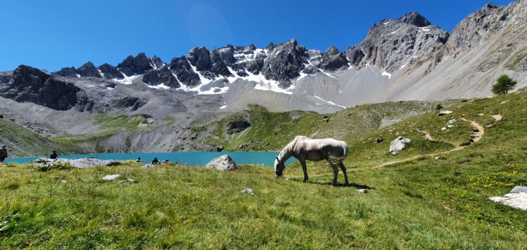 Randonnées et Balades à cheval en Cévennes